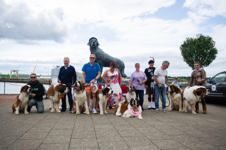 VIDEO: Montrose pays tribute to wartime hero dog Bamse 75 years after ...