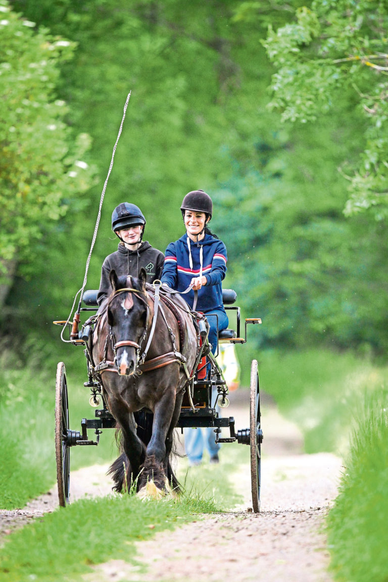 VIDEO: We try carriage driving with pony-mad Angus teenager - The Courier