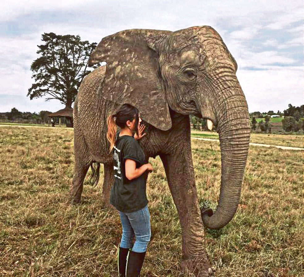 FEATURE: Wildlife presenter Lizzie Daly - who starred in viral image of ...