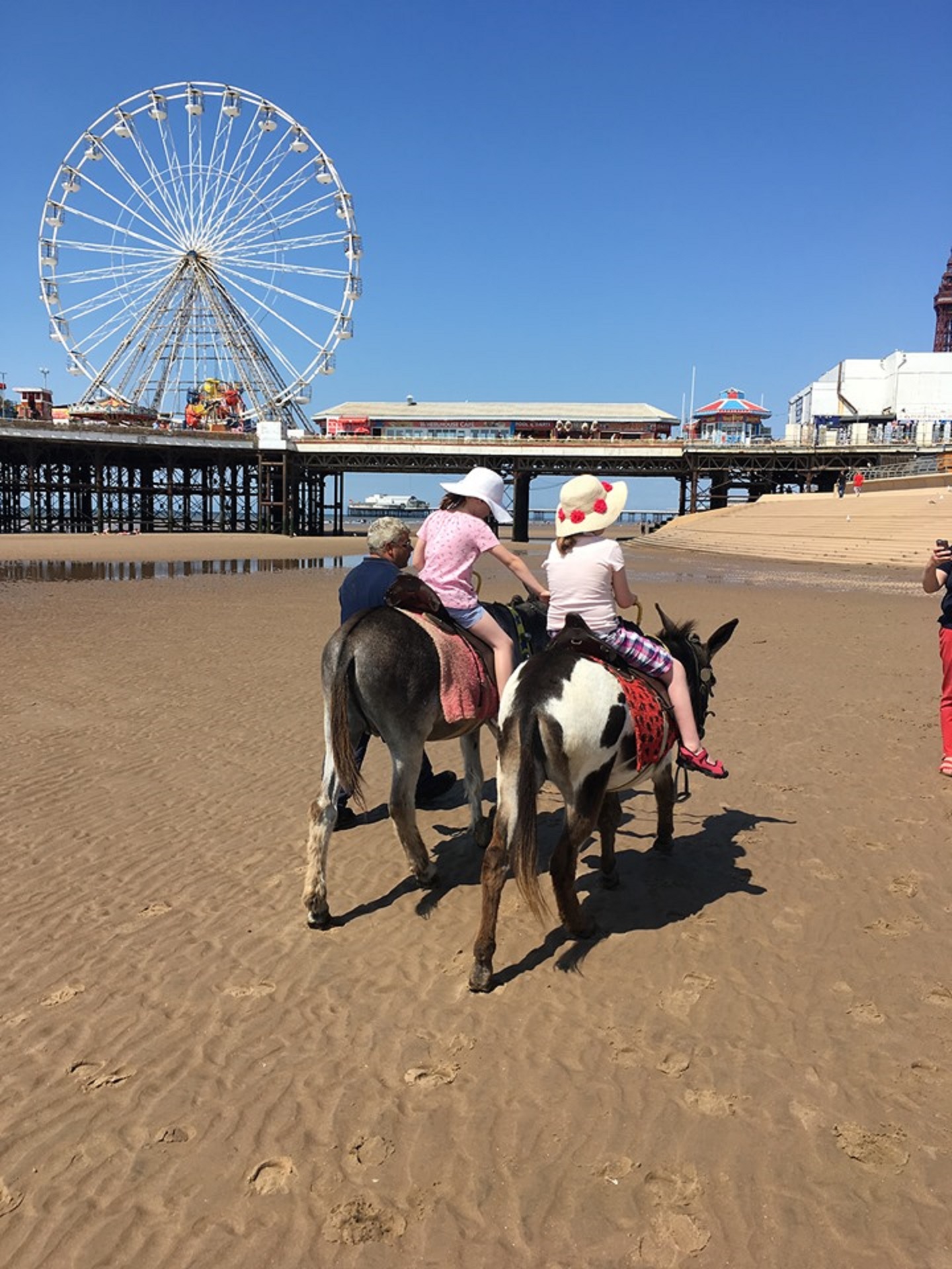 TRAVEL: Blackpool still a top draw and you must visit the iconic tower ...