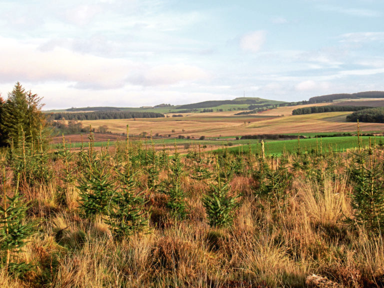 HIKING: Exploring a trio of kettles in the Howe of Fife - The Courier