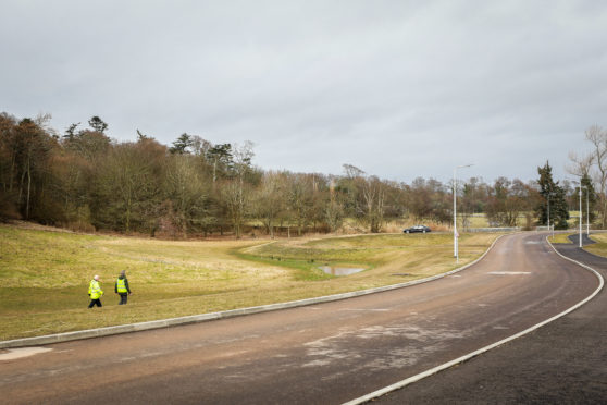 Red squirrel bridge to be built in St Andrews despite claims only one ...