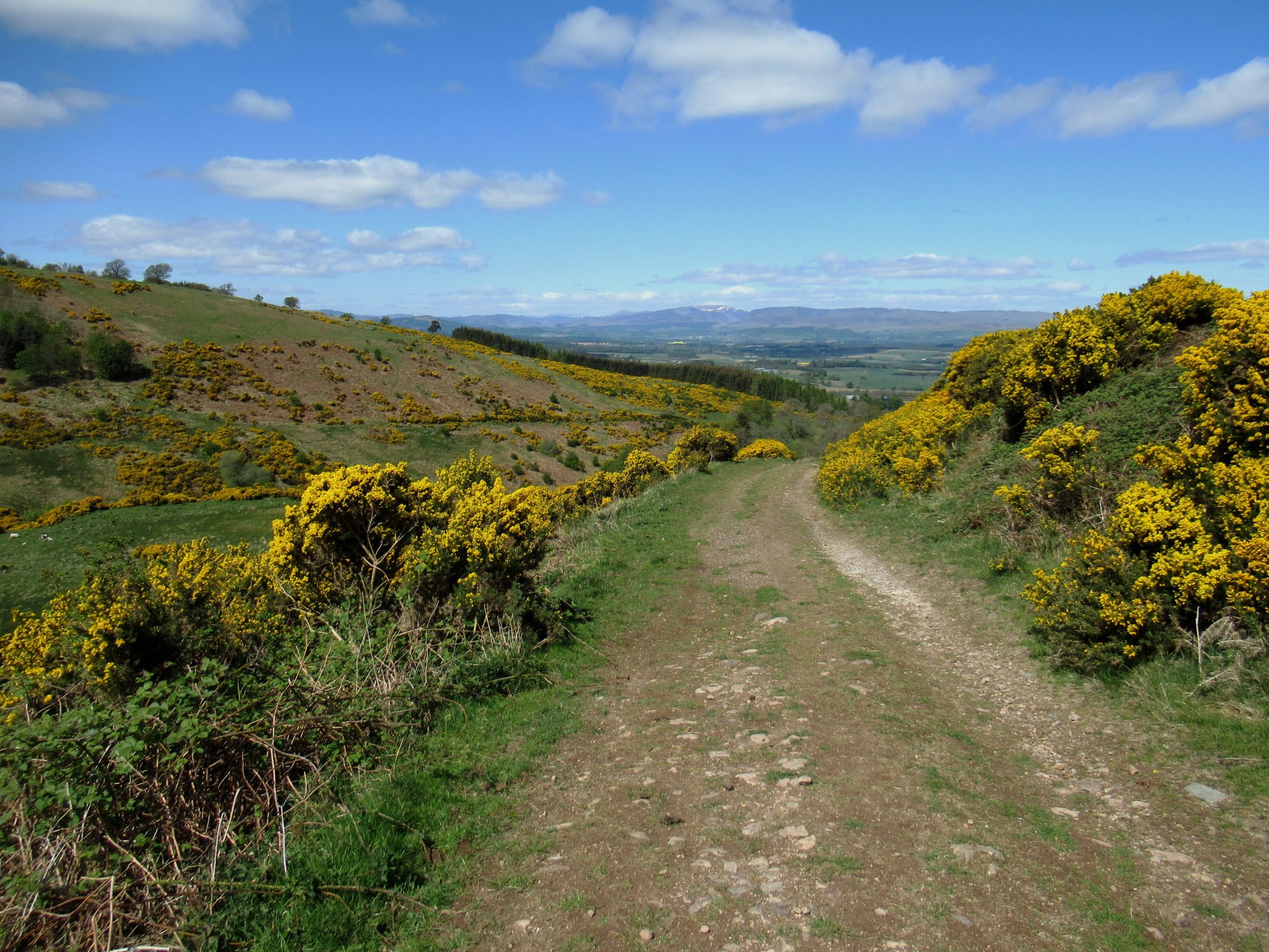 HIKING: Making tracks up the Ochils' A9 attention-grabber Craig Rossie ...