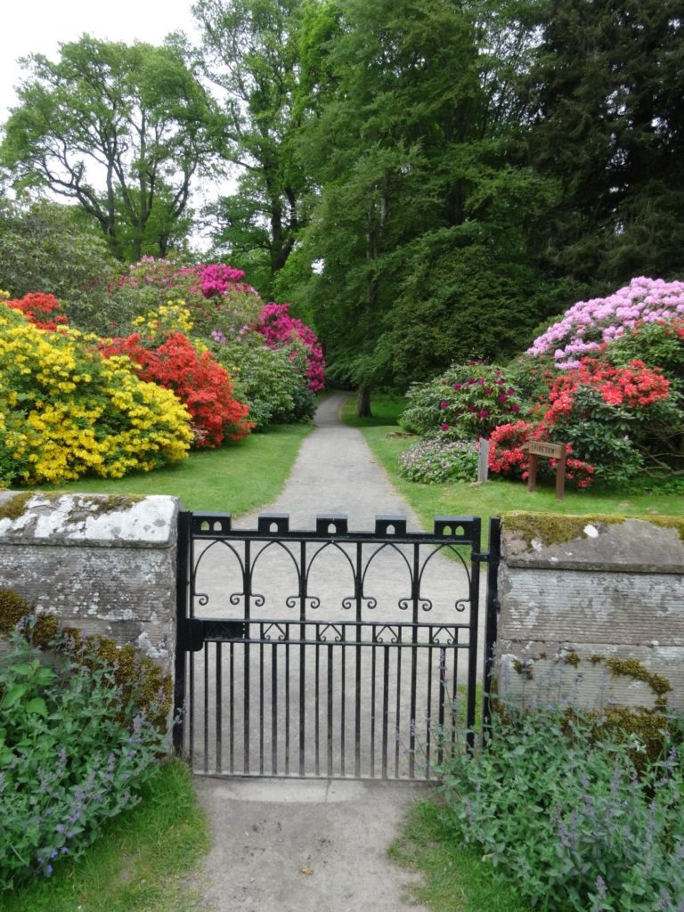 GINGER GAIRDNER: Sit back and enjoy the colours - The Courier