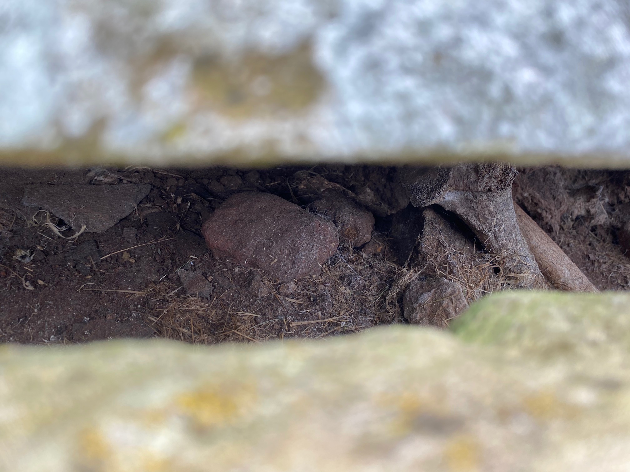 Human bones exposed by crumbling tombs in Perthshire cemetery being re ...