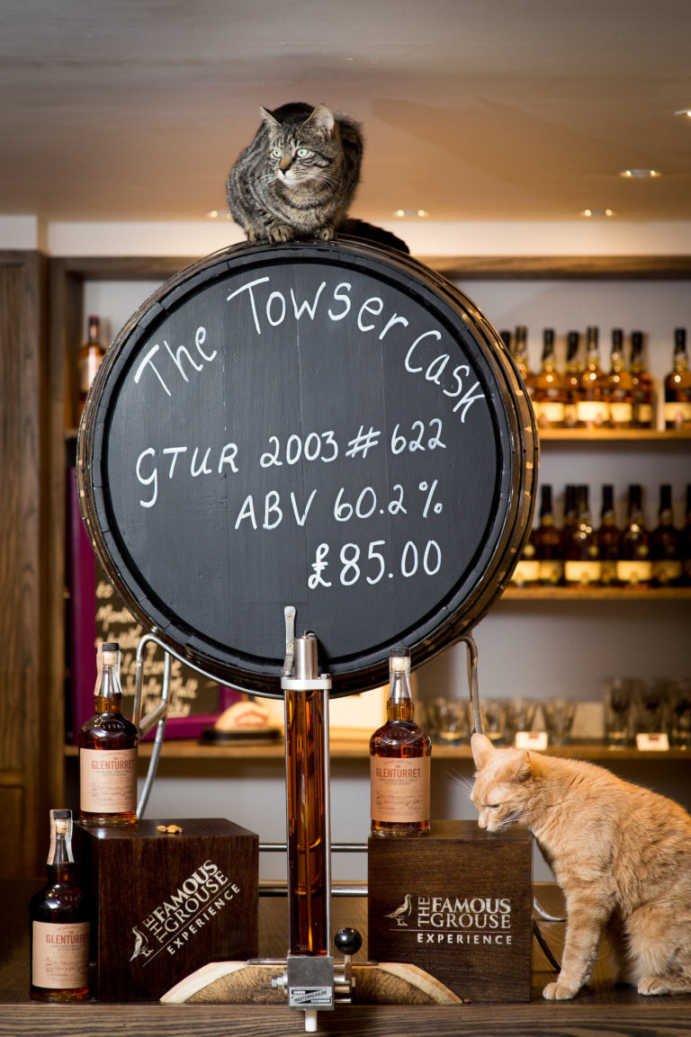 Cats and Scotch: The whimsical tales of the moggies which keep Scotland ...