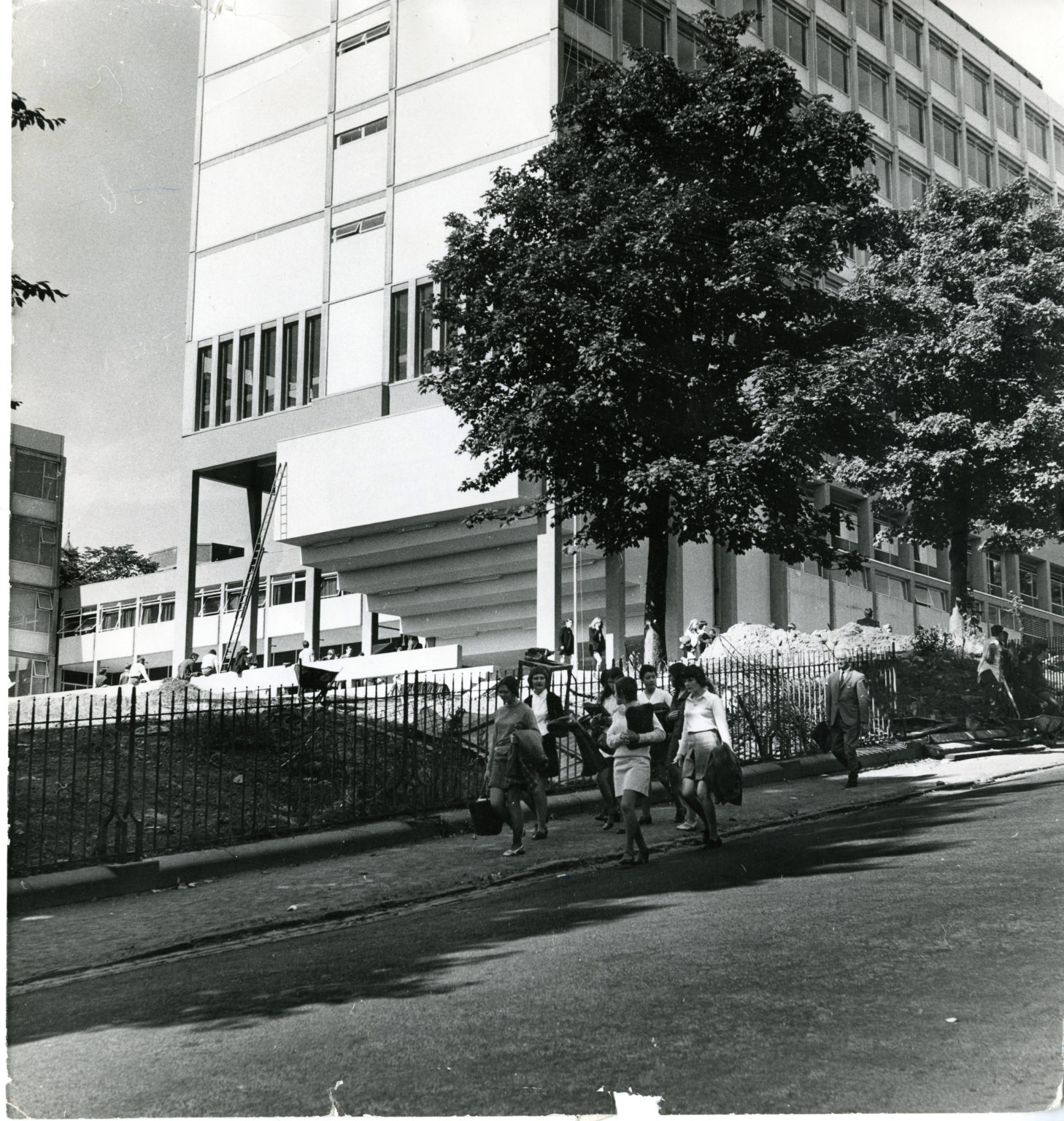 The steep learning curve at beloved 'hidden gem': Marking 50 years of ...