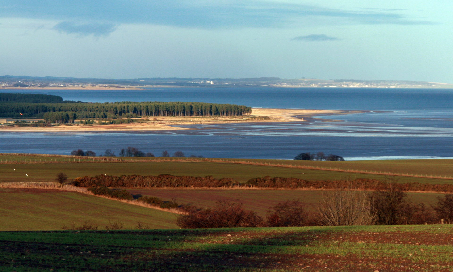 FEATURE: Eden Estuary Local Nature Reserve at forefront of pioneering ...