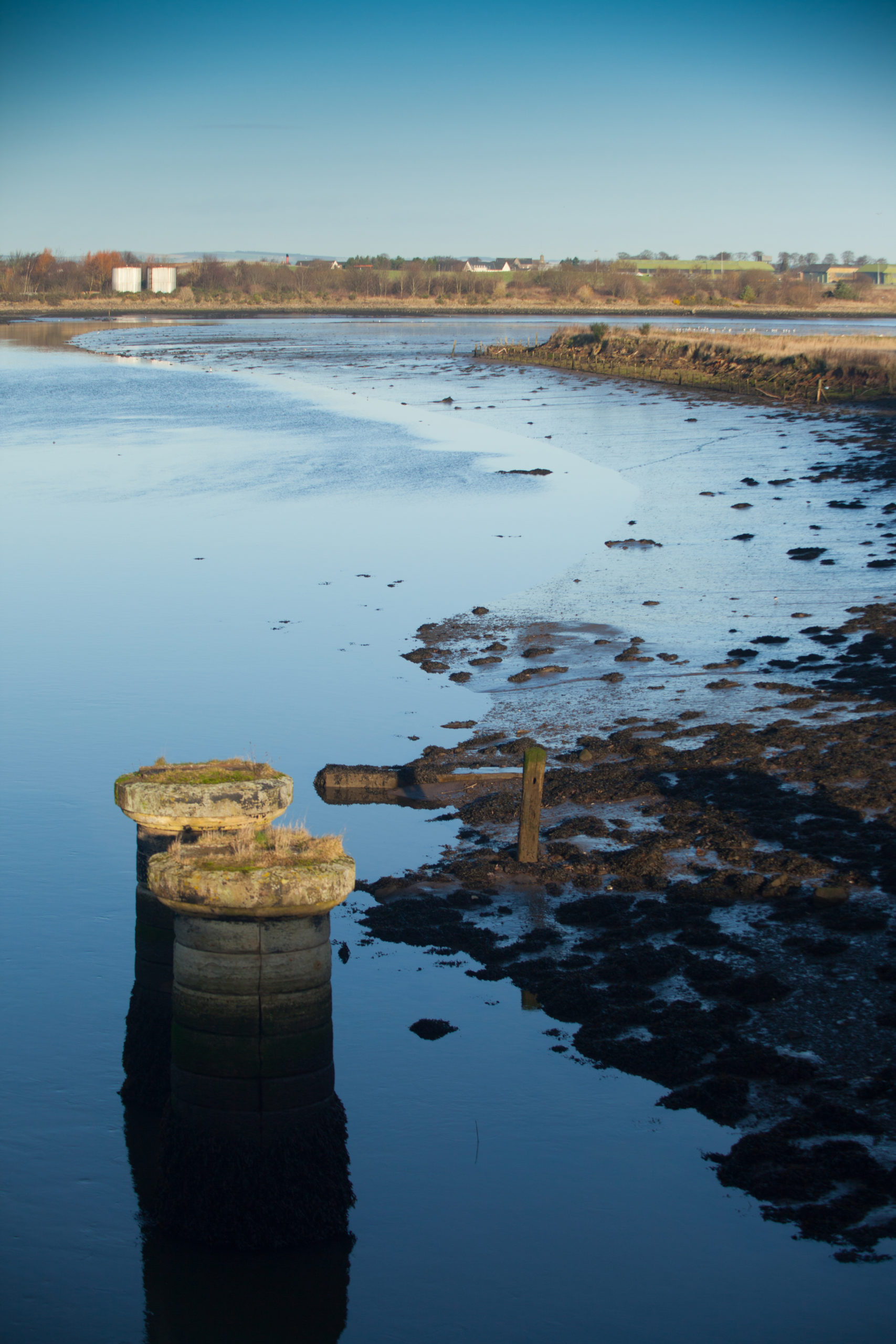FEATURE: Eden Estuary Local Nature Reserve at forefront of pioneering ...