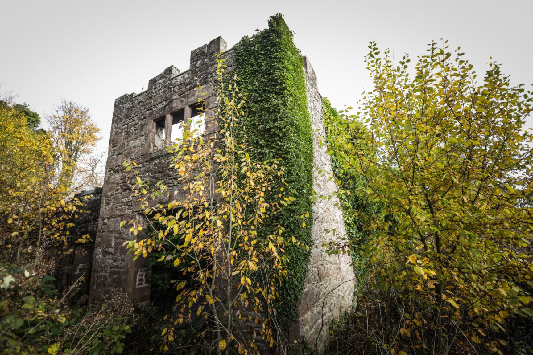 Ballumbie Castle: Walled garden plans to give historic ruins new lease ...