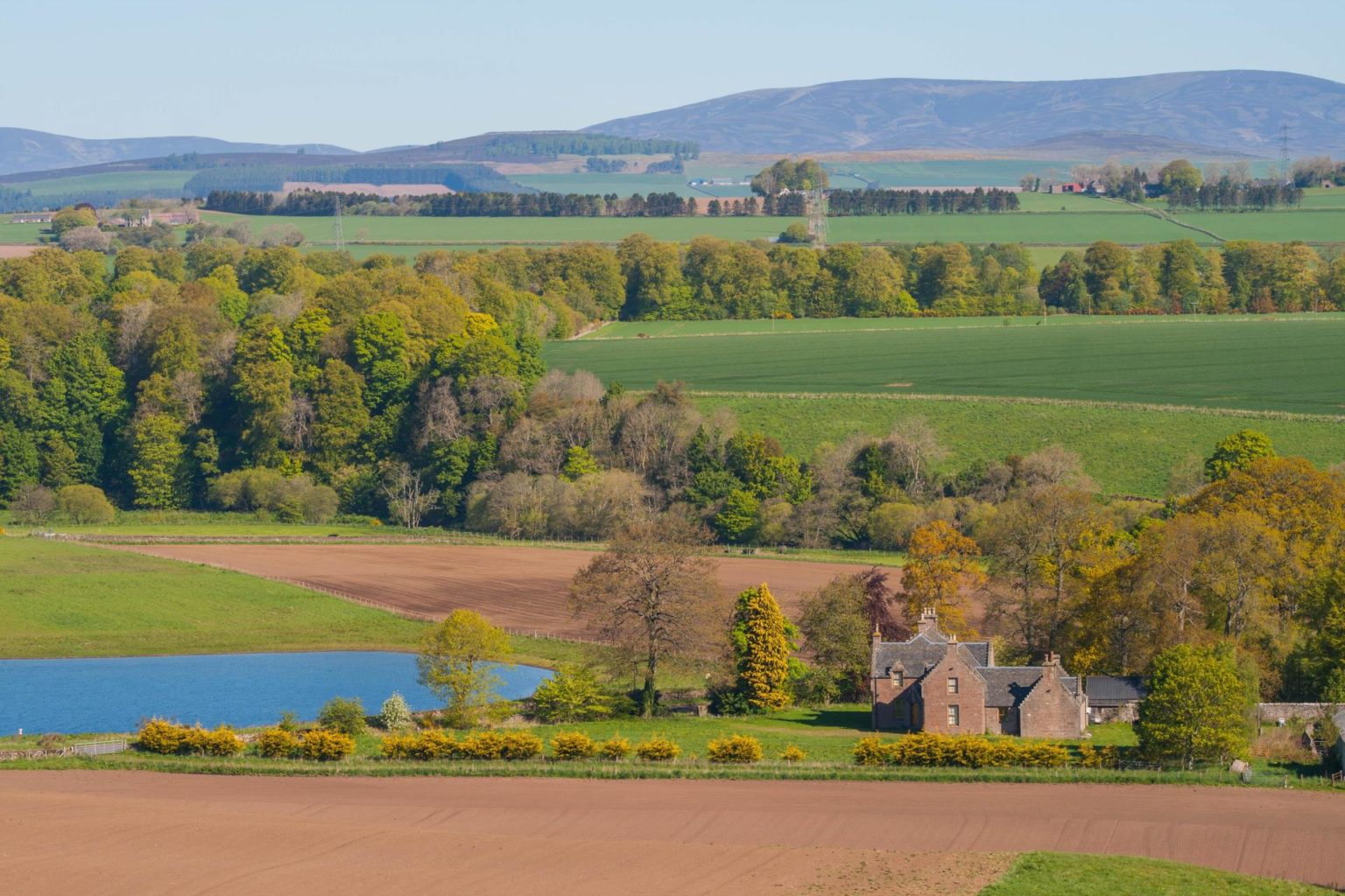 PROPERTY: Handsome Angus home has seven bedrooms and Brechin Castle is ...
