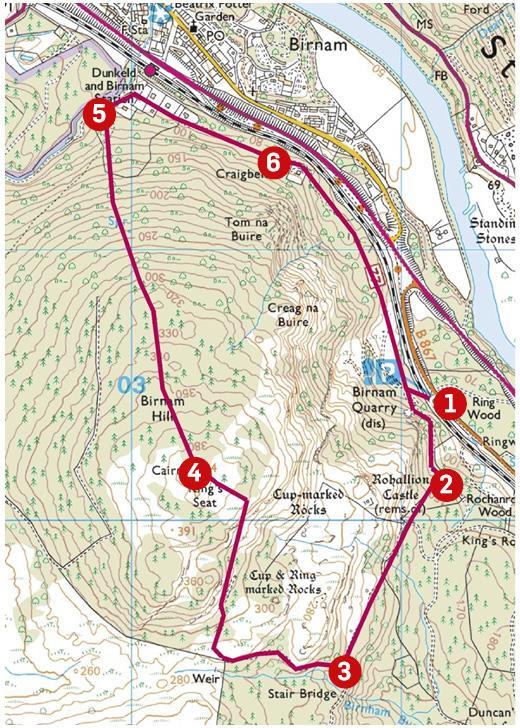 WALK THIS WAY: A hike for all seasons at Birnam Hill in Dunkeld - The ...