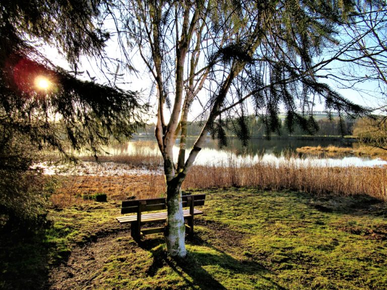 Forty years of ‘footslogging’ to produce book of historic Forfar walks ...