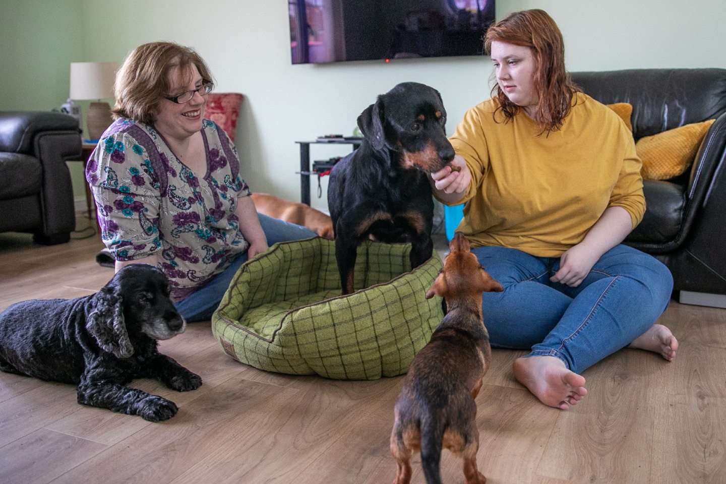 Rescue dog missing for over two weeks in Dundee reunited with owners ...