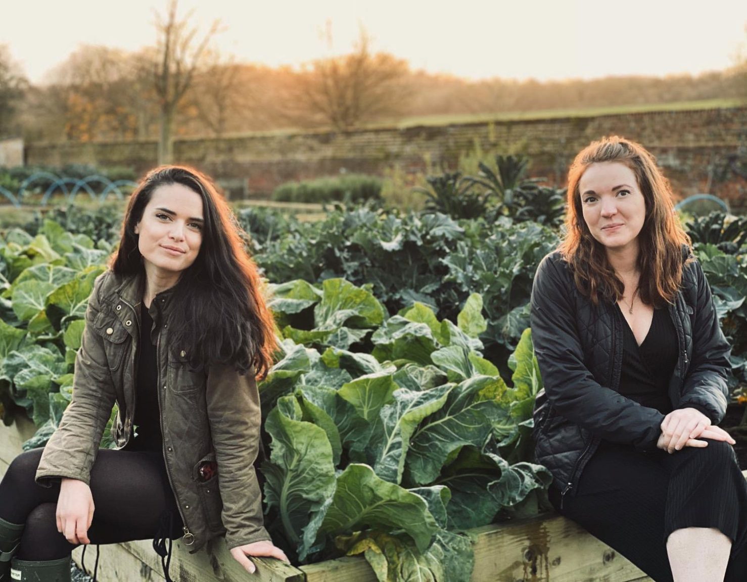 'You wouldn't ask a car mechanic advice on a soufflé': Scottish chefs ...