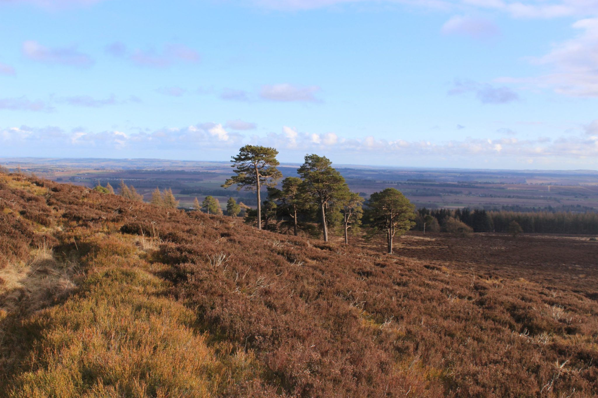 Iron Age forts in Angus: Caterthuns reveal stories of wart-ridden ...