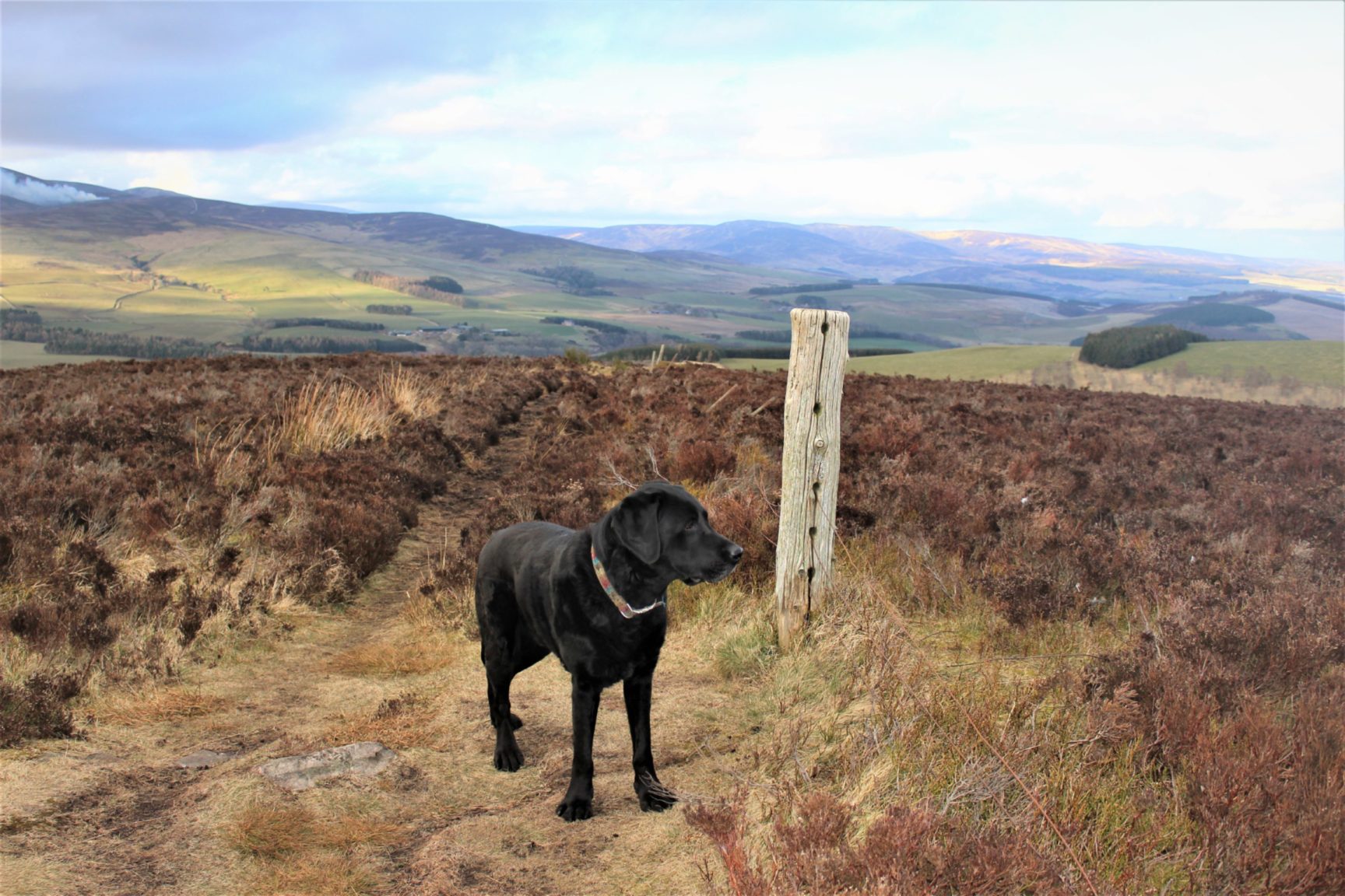 Iron Age forts in Angus: Caterthuns reveal stories of wart-ridden ...