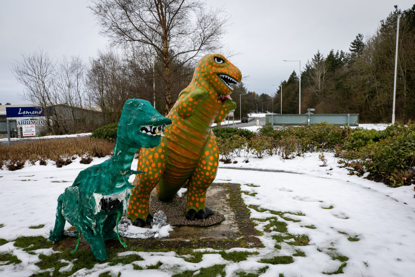 Mystery surrounding Rexie's new found love revealed - The Courier