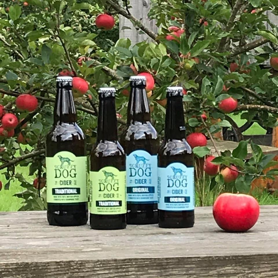 Scruffy Dog Cider has battled the ruff times of pandemic as it looks to ...