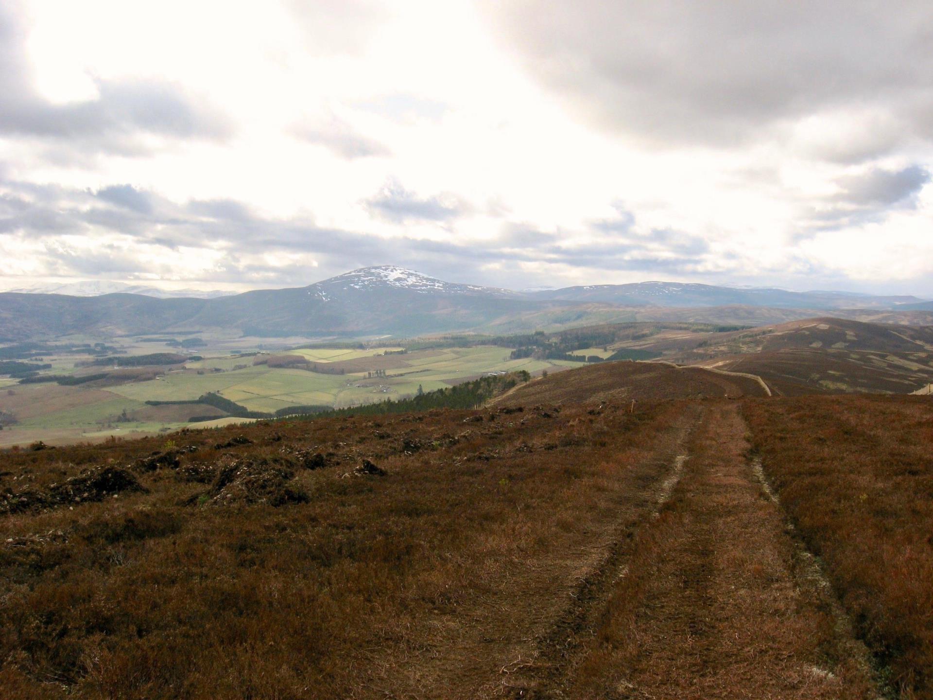 WALK THIS WAY: A circuit of the Pressendye ridge in Deeside - The Courier