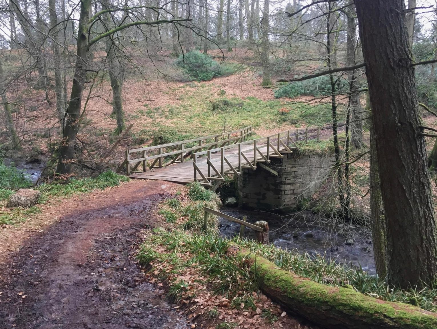 WALK THIS WAY: An historic circuit around Glamis taking in an ancient ...