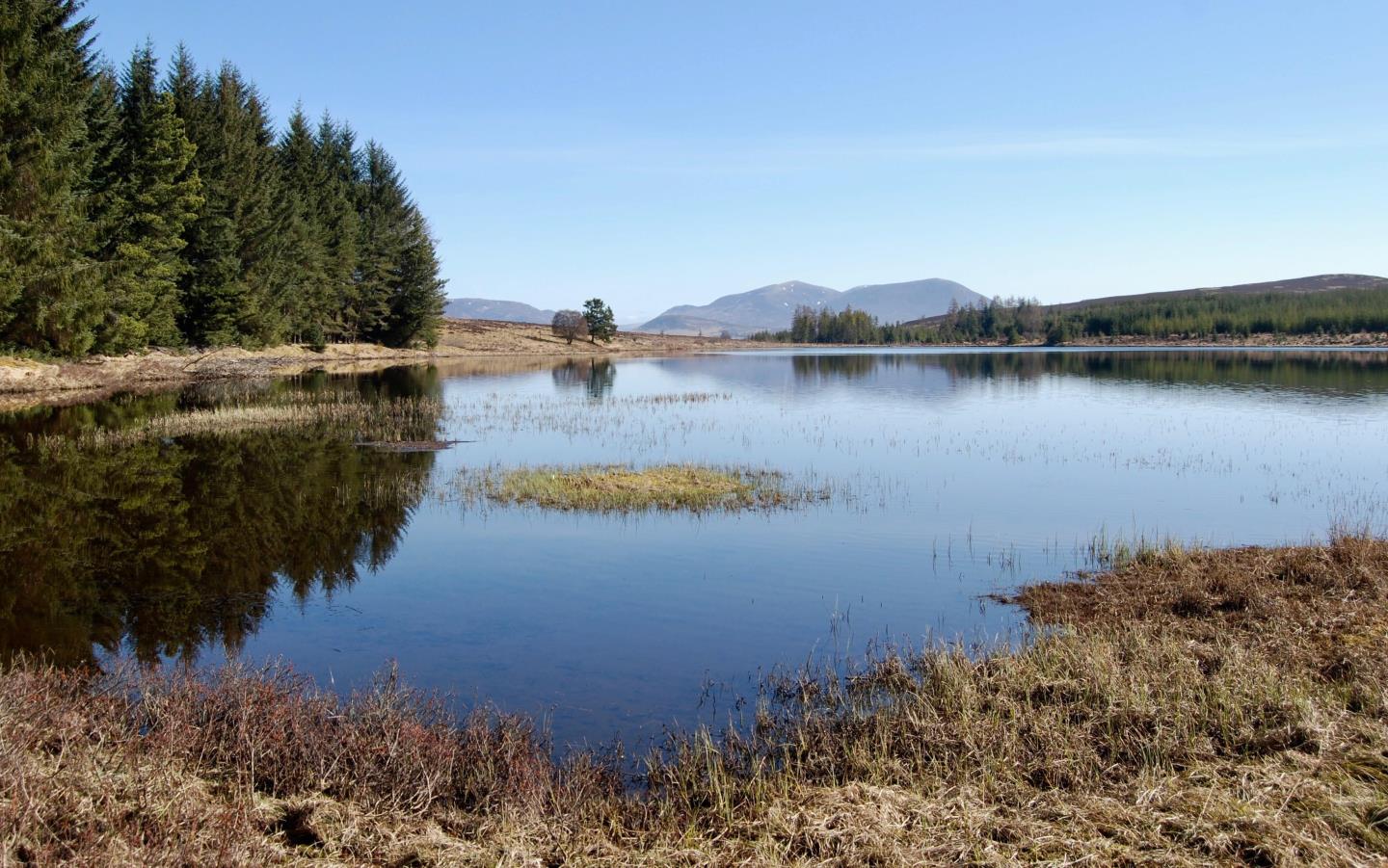 WALK THIS WAY: Peaceful Perthshire ramble to little-known Loch Bhac ...