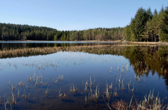 WALK THIS WAY: Peaceful Perthshire ramble to little-known Loch Bhac ...