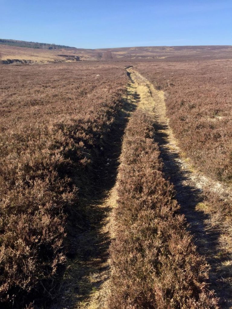 WALK THIS WAY: Peaceful Perthshire ramble to little-known Loch Bhac ...