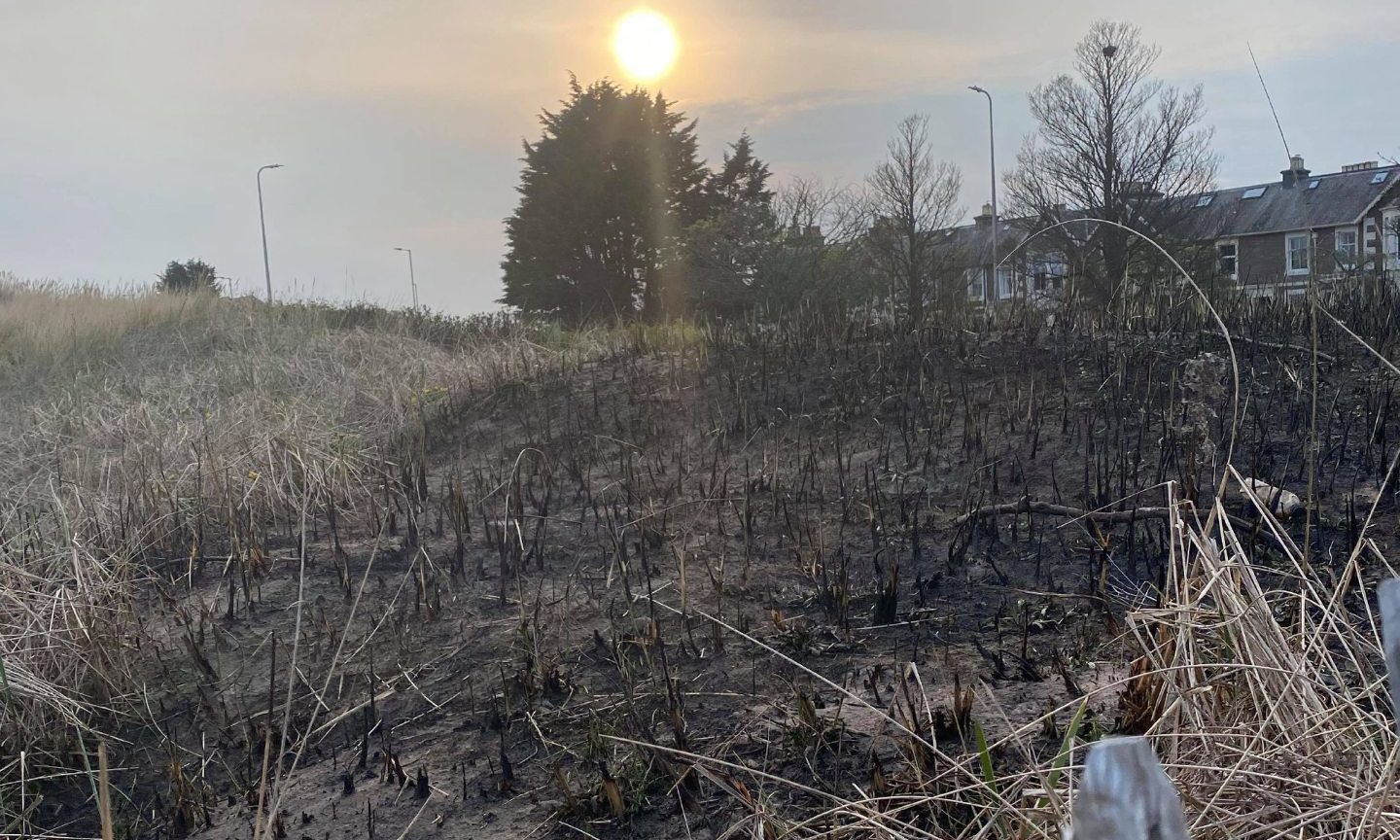 Watch as 'malicious' fire spreads on Broughty Ferry beach