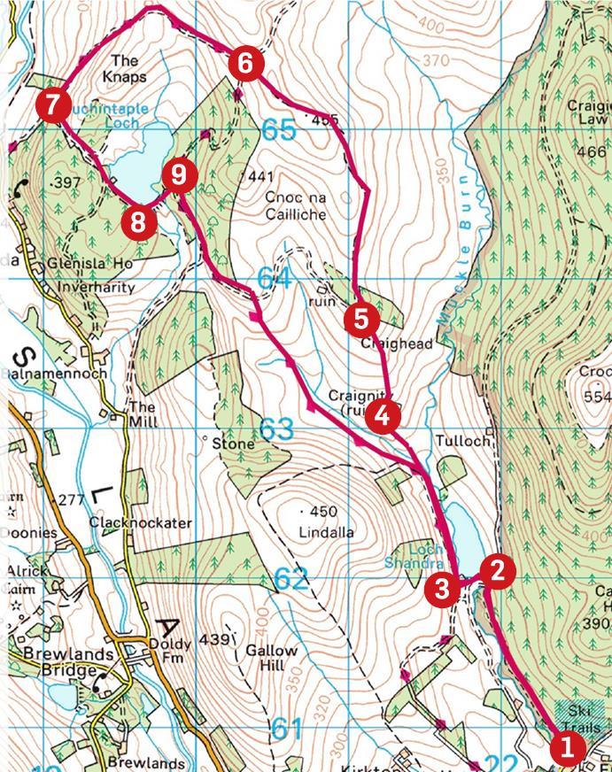 WALK THIS WAY: Enjoy a circuit of stunning lochs in Glen Isla in Angus ...