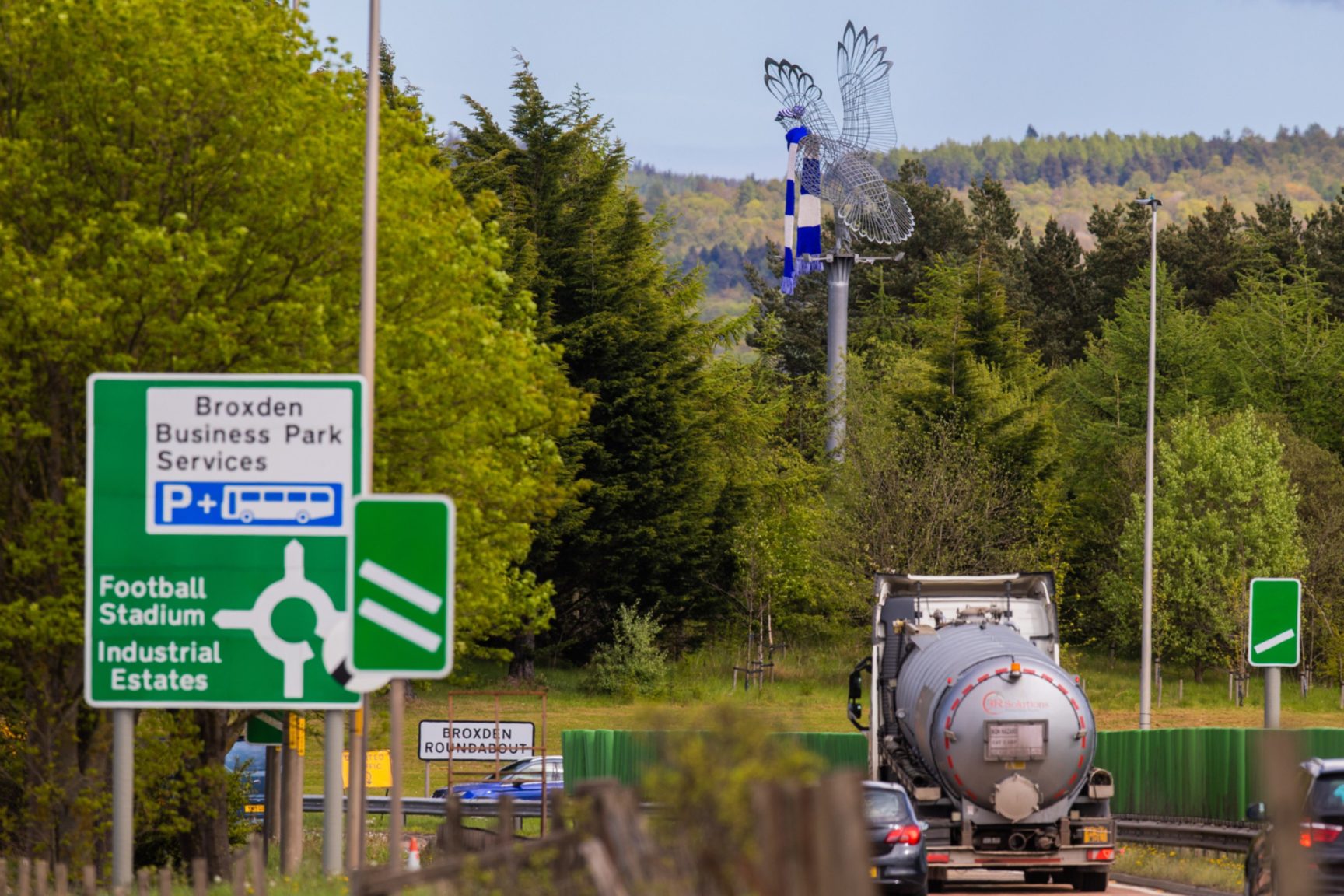 Broxden grouse decked out in St Johnstone colours as Scottish Cup fever ...