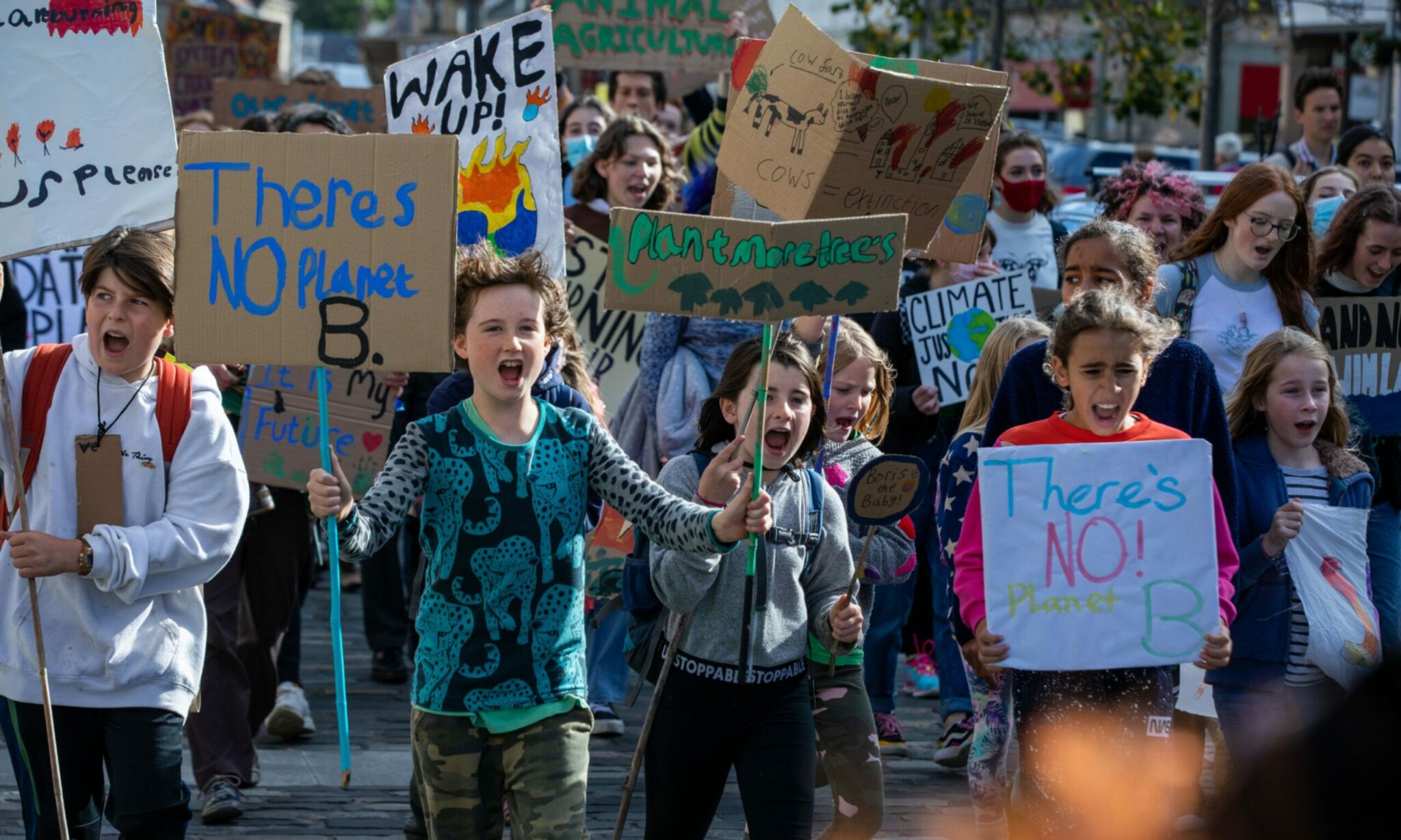 New BBC Beechgrove star Calum Clunie from Fife takes helm in special ...