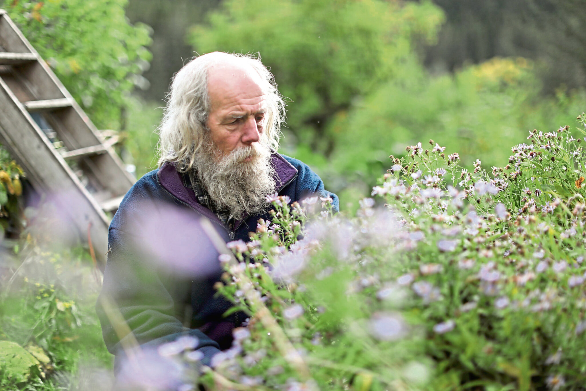 Ben Fogle: Scotland's Sacred Islands reveals adventurer's favourite ...