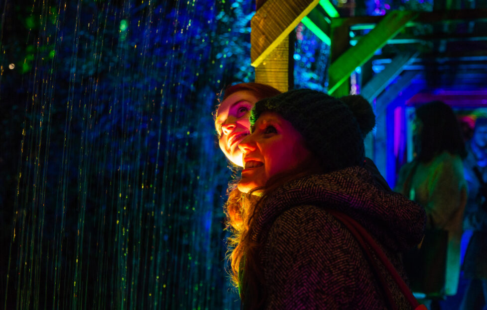 Faskally gets ready for Enchanted Forest return - Scottish Field