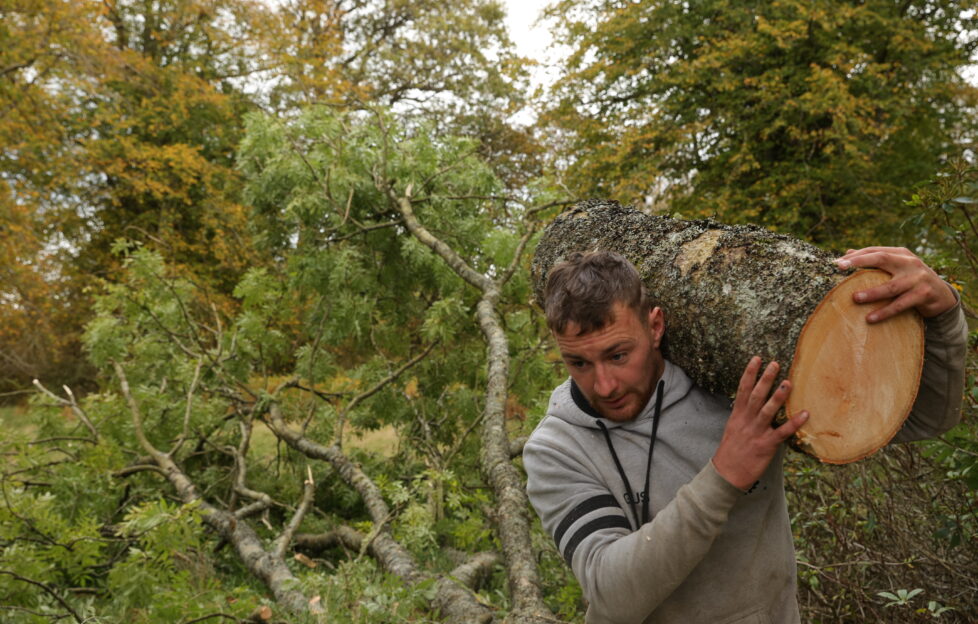 Ash dieback trees turned into furniture - Scottish Field