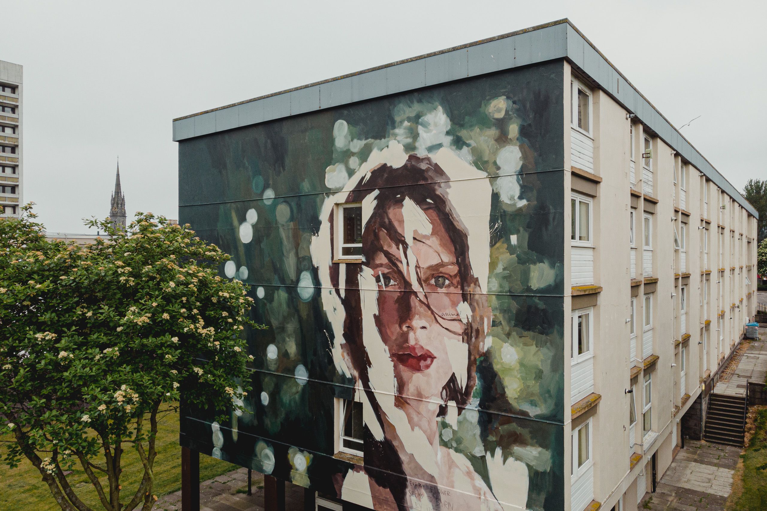 Incredible pictures from Aberdeen's street art festival Nuart ...
