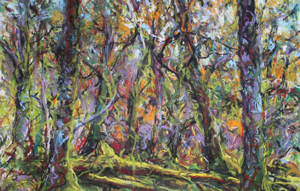 Exploring the Ancient Atlantic Remnants of Morvern and Sunart ...