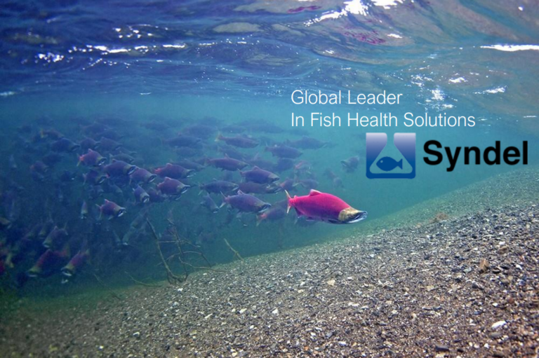 Syndel’s Syncaine® approved in the UK - Fish Farmer Magazine