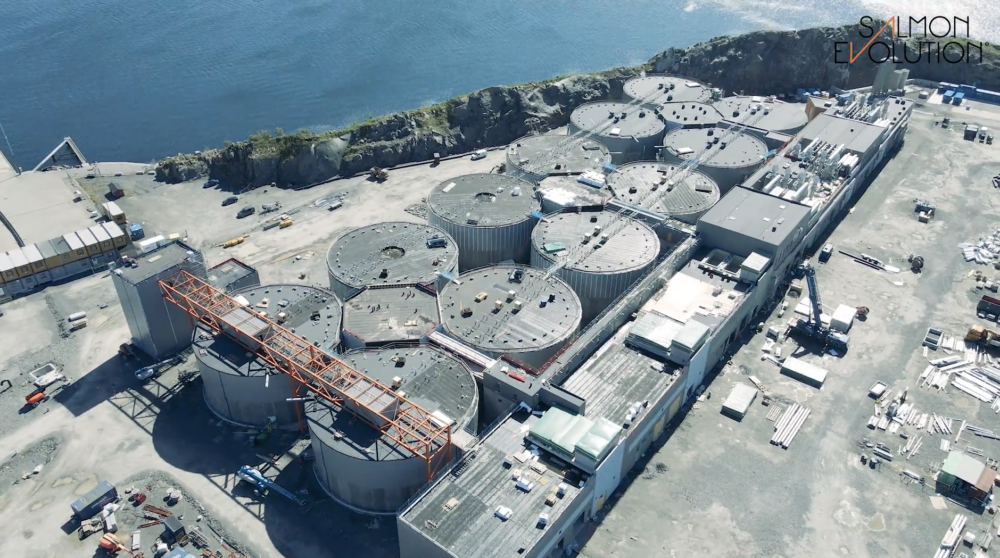 Salmon Evolution starts freshwater treatment - Fish Farmer Magazine