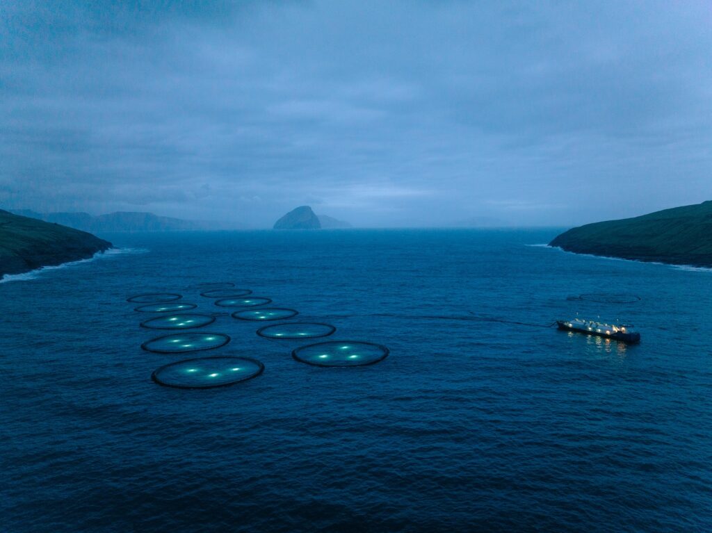 Hiddenfjord gets two-star BAP accreditation - Fish Farmer Magazine