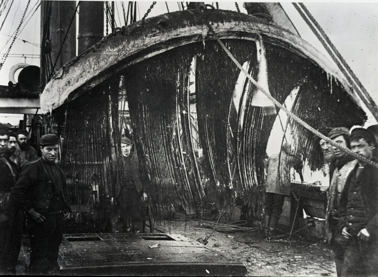 How Dundee whaling captain descendent discovered his Inuit cousin - The ...