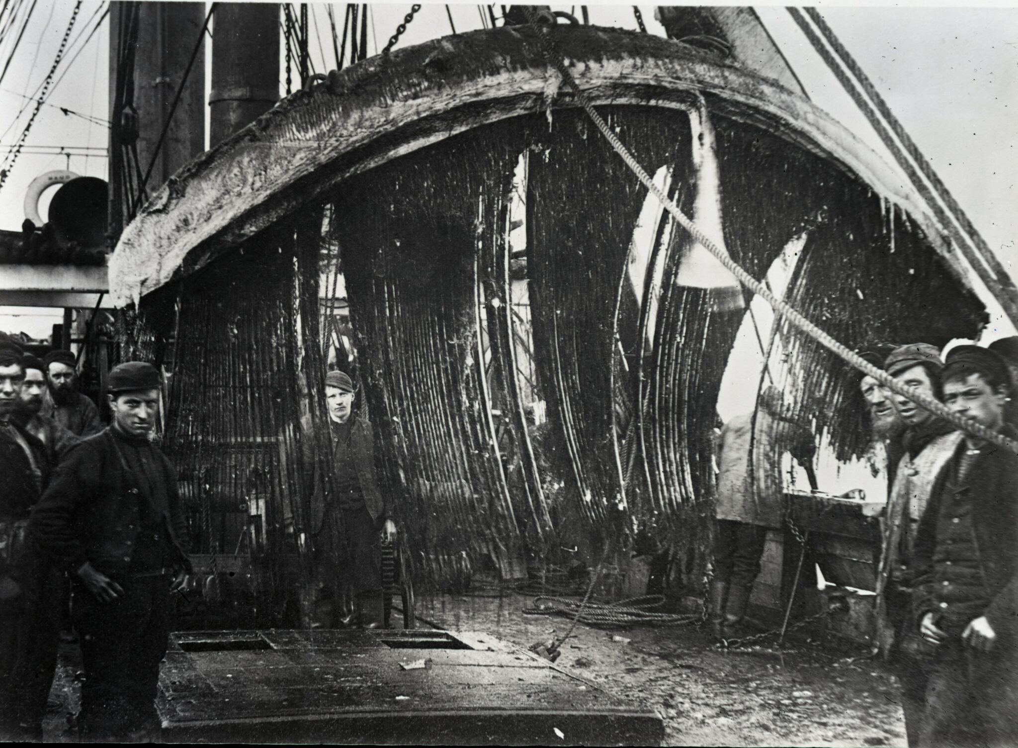 How Dundee whaling captain descendent discovered his Inuit cousin - The ...