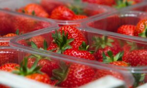 Berry nice: How Angus Soft Fruits has stayed fresh for 30 years - The ...