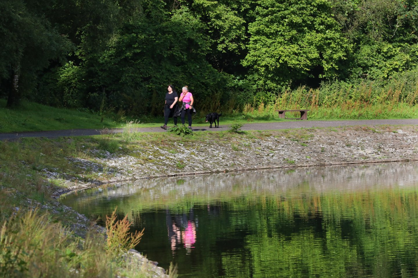 Warning over dangerous blue-green algae at Clatto Reservoir in Dundee