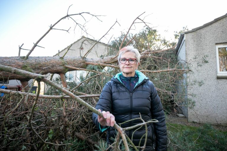 Storm Arwen: Scale of damage in Dundee, Fife and Perthshire revealed