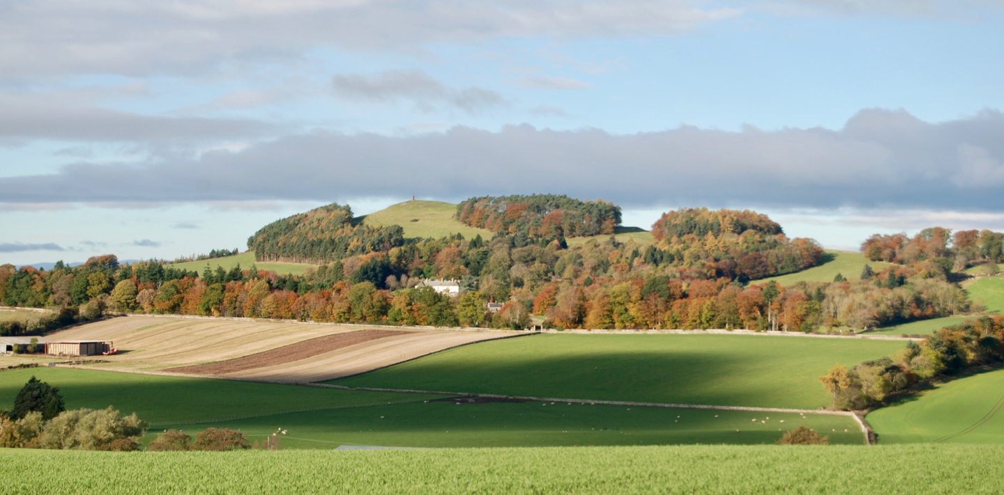 WALK THIS WAY: Easy circuit around Hill of Tarvit - The Courier
