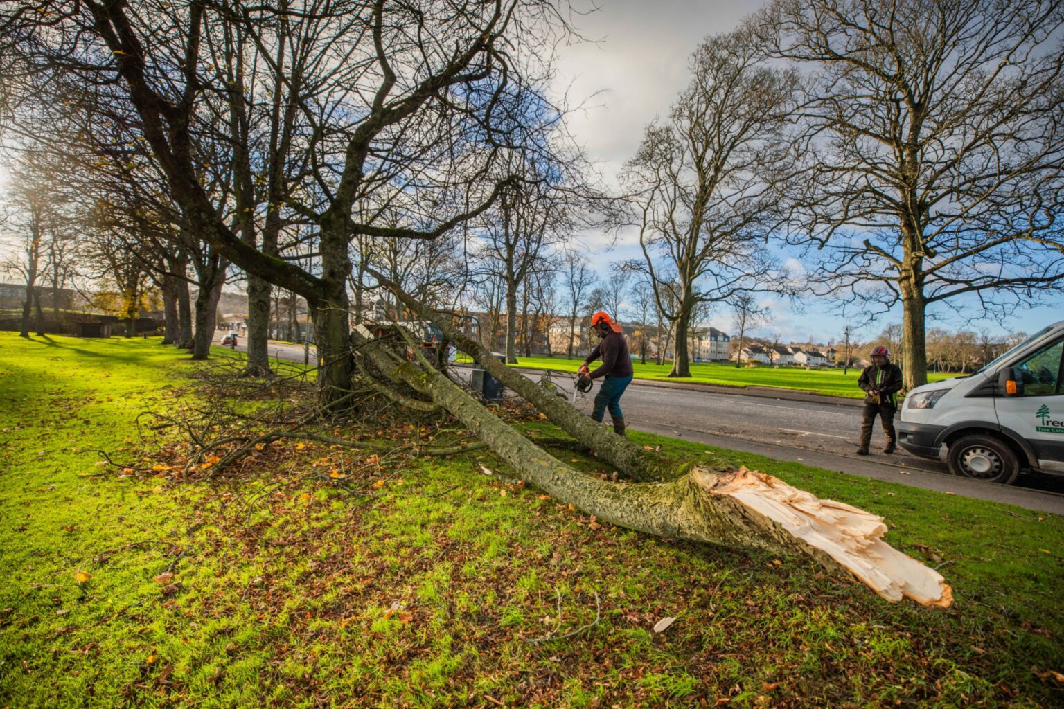 Storm Arwen aftermath: Pictures show damage caused in Dundee and Fife