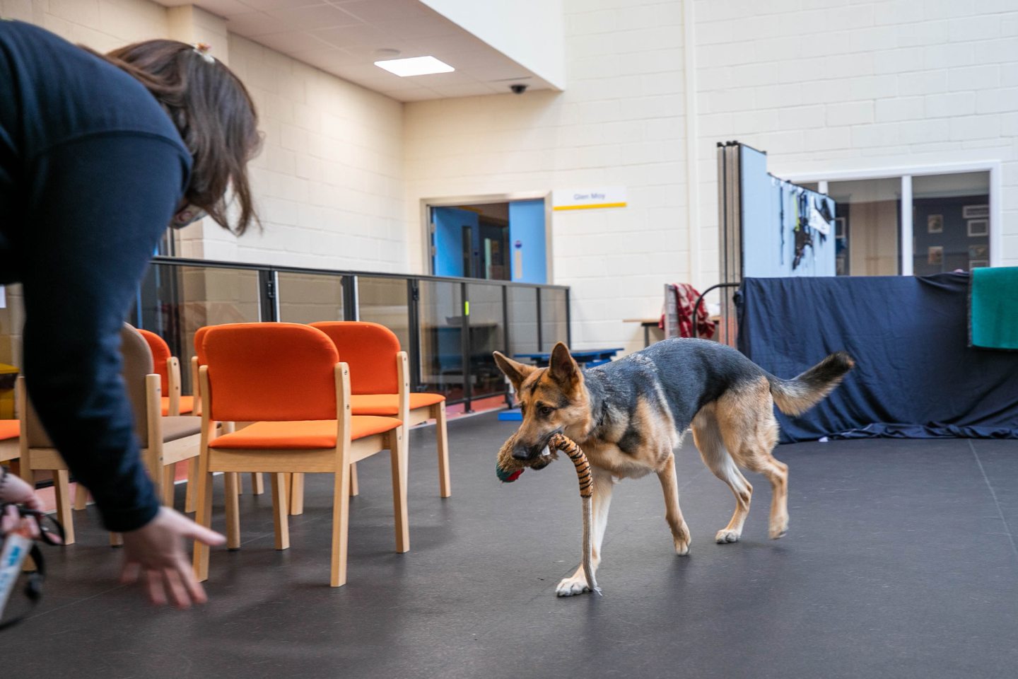 Guide Dogs celebrates 90th anniversary: 'Delightful companionship and ...