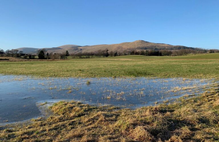 WALK THIS WAY: Exploring Rumbling Bridge Gorge in the Crook of Devon ...