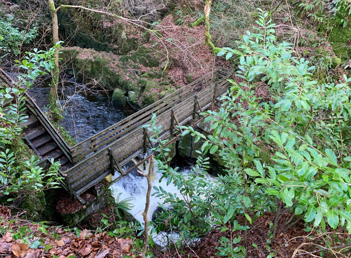 WALK THIS WAY: Exploring Rumbling Bridge Gorge in the Crook of Devon ...